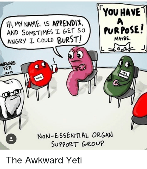 Curve Ball – The Epicurious Texan